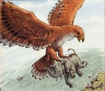 Roc | Myth and Folklore Wiki | Fandom