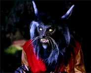 Werecat | Myth and Folklore Wiki | Fandom