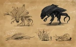 Bunyip | Myth and Folklore Wiki | Fandom