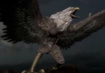 Garuda | Myth and Folklore Wiki | Fandom