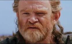 Brendan Gleeson Troy