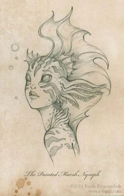Mythical Mermaid Drawings