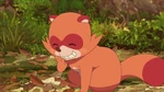 Tanuki | Myth and Folklore Wiki | Fandom