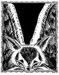 Marchosias | Myth and Folklore Wiki | Fandom