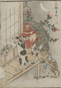 Nekomata Japanese Mythology