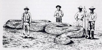 Boiuna | Myth and Folklore Wiki | Fandom