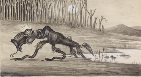 Bunyip | Myth and Folklore Wiki | Fandom