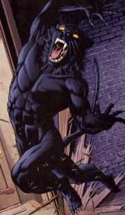 Werecat | Myths and Folklore Wiki | Fandom