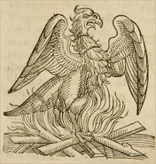 Phenex | Mythos and Legends Wiki | Fandom