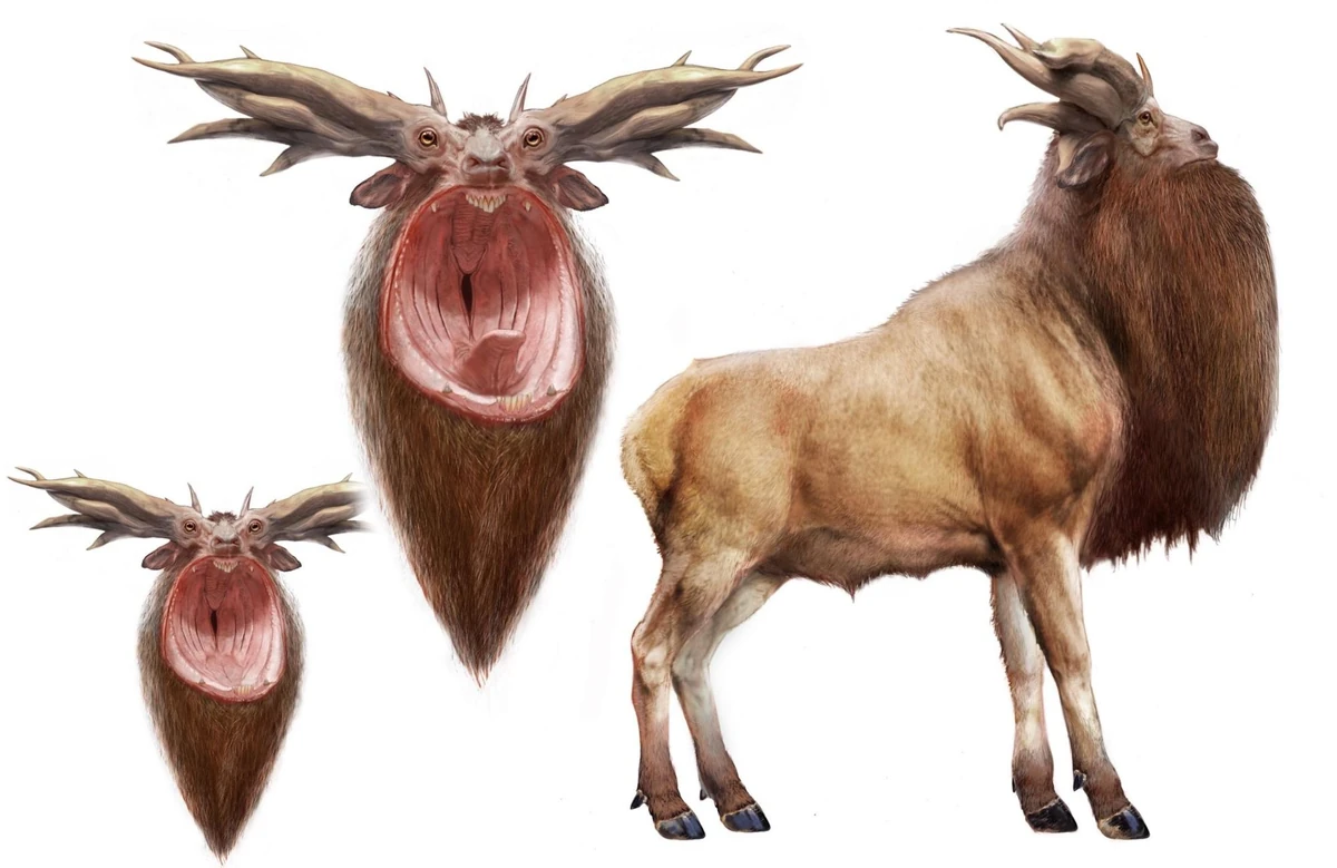 Crocotta | Myths in Media Wiki | Fandom