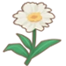 Asteria (Flower) - My Time At Portia Wiki
