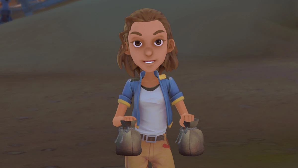 Take a Guess | My Time at Sandrock Wiki | Fandom