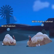 Yakmel | My Time at Sandrock Wiki | Fandom