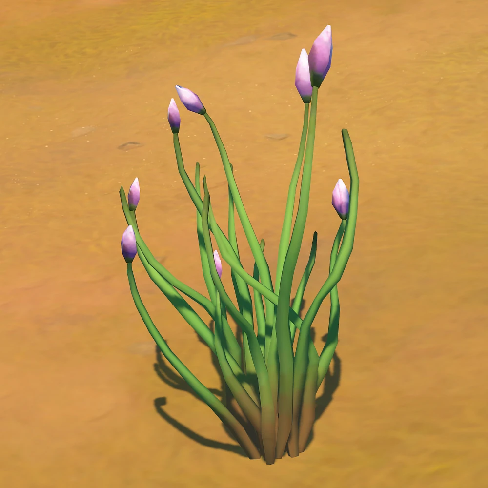 Sand Leek | My Time at Sandrock Wiki | Fandom