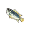 Crucian Carp | My Time at Sandrock Wiki | Fandom
