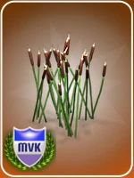 Cattails | My Virtual Kingdom Wiki | Fandom
