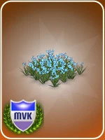 Forget-me-not Patch | My Virtual Kingdom Wiki | Fandom