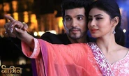 Shivanya Singh | Naagin Wiki | Fandom
