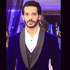 Raghuveer | Naagin Wiki | Fandom