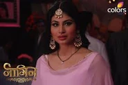 Shivanya Singh | Naagin Wiki | Fandom