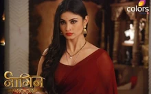 Shivanya Singh | Naagin Wiki | Fandom