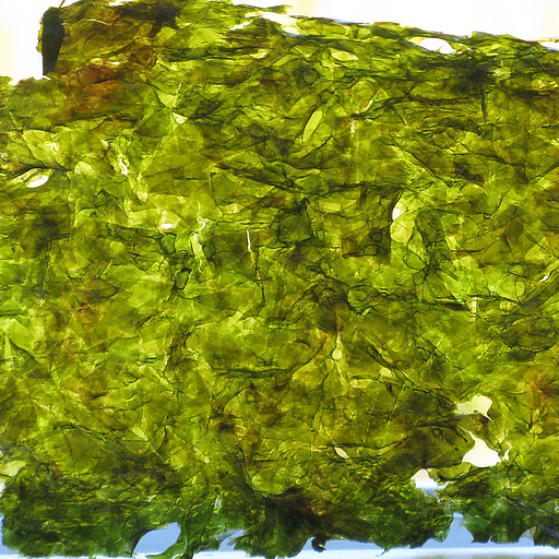 Food | Naev Wiki | Fandom