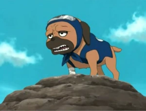 Pakkun | Wiki Nagashi senbon | Fandom