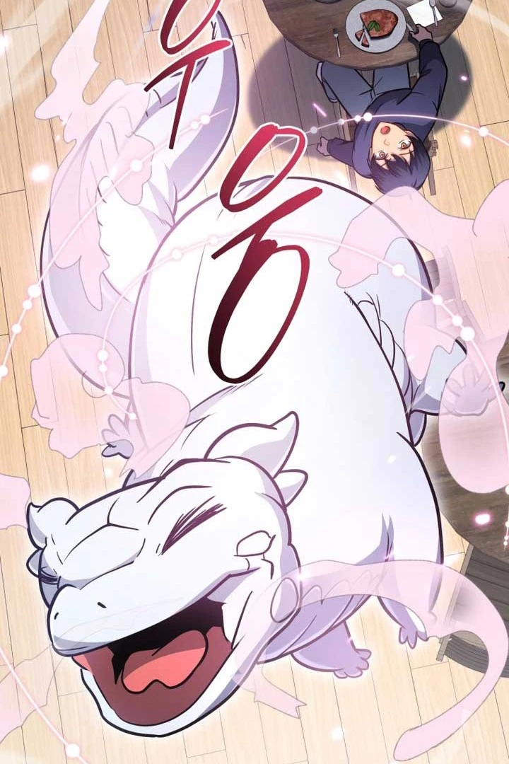 Divine Beasts | Necromancer Academy Genius Summoner Wiki | Fandom
