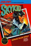 Sky Kid | Namco Wiki | Fandom