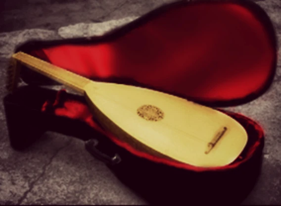 Kvothe's lute case | Kingkiller Chronicle Wiki | Fandom