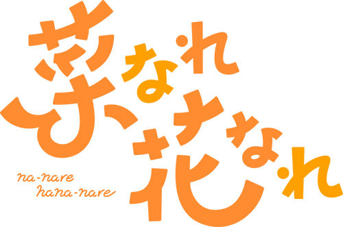 Kanata Misora | Nanare Hananare Wiki | Fandom