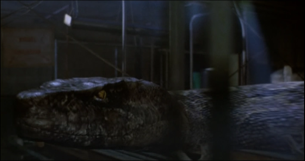 Python (personnage) | Wiki Nanars | Fandom