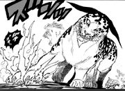 Cath | Wiki Nanatsu no Taizai | Fandom