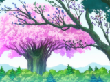 Categoría:Lugares | Wiki Nanatsu no Taizai | Fandom