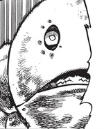 Kaide/Image Gallery | Nanatsu no Taizai Wiki | Fandom