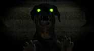 Mickey Malone's Dogs | Nancy Drew Wiki | Fandom
