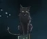 The Black Cat | Nancy Drew Wiki | Fandom