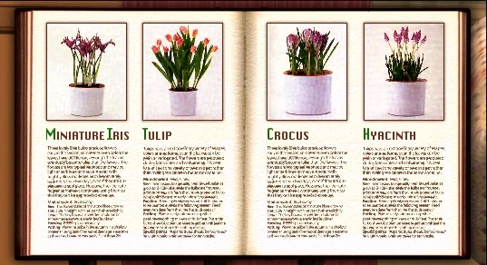 Hidden Codes | Nancy Drew Wiki | Fandom