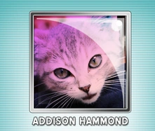 Addison Hammond | Nancy Drew Wiki | Fandom