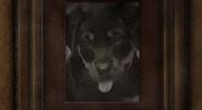 Mickey Malone's Dogs | Nancy Drew Wiki | Fandom
