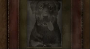 Mickey Malone's Dogs | Nancy Drew Wiki | Fandom
