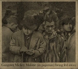 Mickey Malone | Nancy Drew Wiki | Fandom