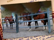 George Fayne (video game character) | Nancy Drew Wiki | Fandom