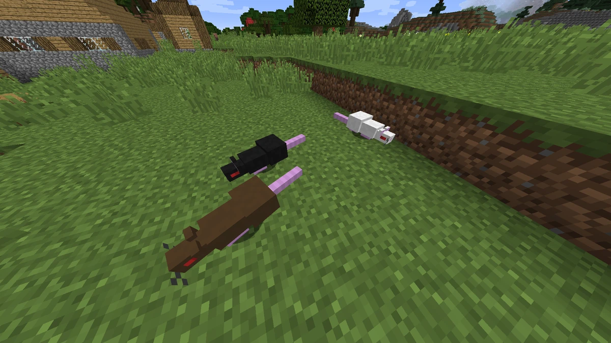 Rat | Nanex's Mobs (Minecarft Mod) Wiki | Fandom