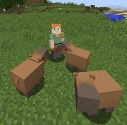 Capybara | Nanex's Mobs (Minecarft Mod) Wiki | Fandom