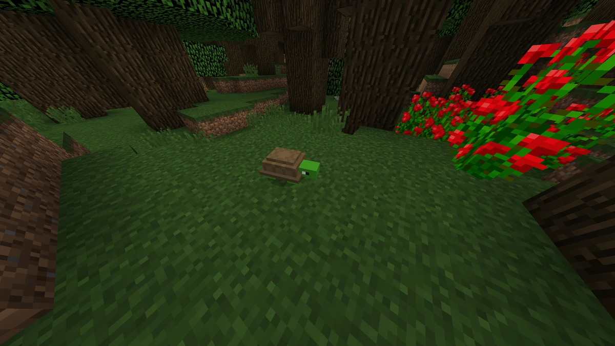Turtle | Nanex's Mobs (Minecarft Mod) Wiki | Fandom