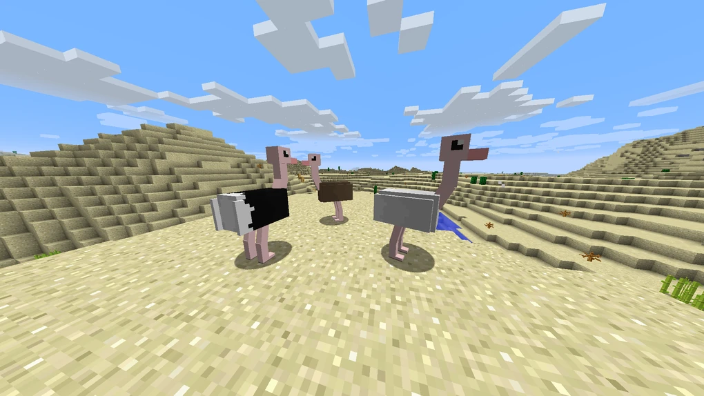 Ostrich | Nanex's Mobs (Minecarft Mod) Wiki | Fandom