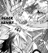 Rio Wesley | Magical Girl Lyrical Nanoha Wiki | Fandom