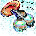 Nanuak | N.A.N.U.A.K. Wiki | Fandom