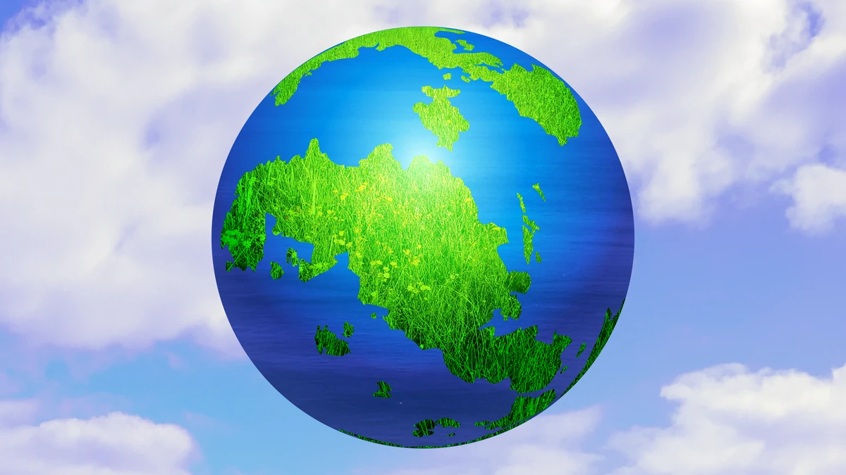 Sliso | Nap Wiki | Fandom